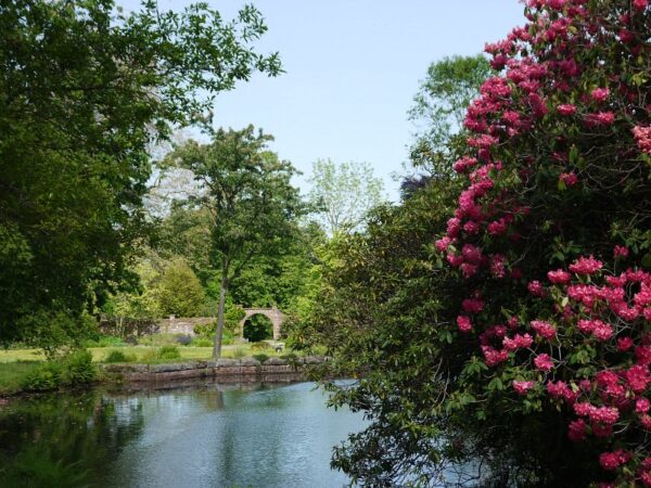 Rare Plant Fair at Llanover House - Monmouthshire Life